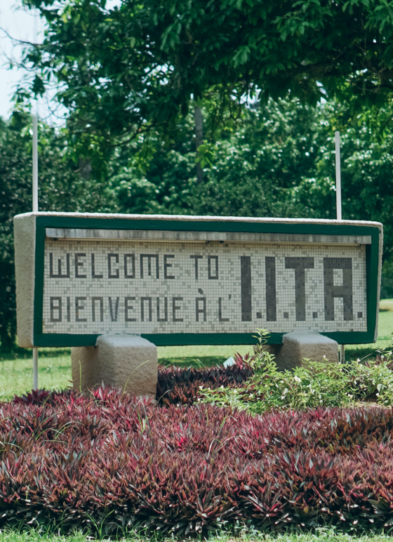 An Unforgettable Trip To Ibadan + My Review of IITA Ibadan.